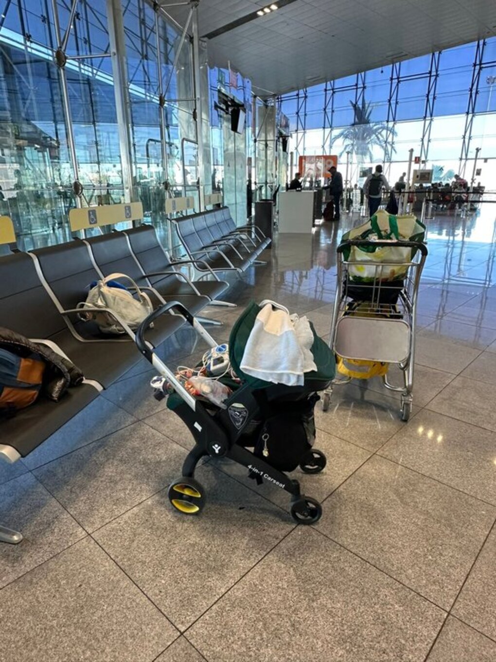 The Difficulties of Working as an Escort in a Context of Diplomatic ...